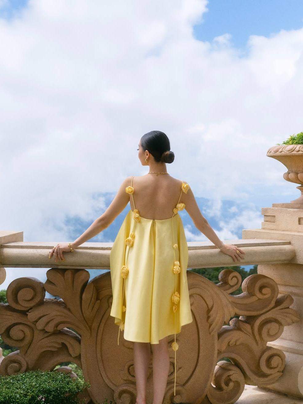 CALLIE - BACKLESS ROSE CHARM DRESS – Lucas & Grace